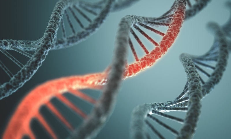 Does Radiation Alter Your DNA? - Lancs Industries